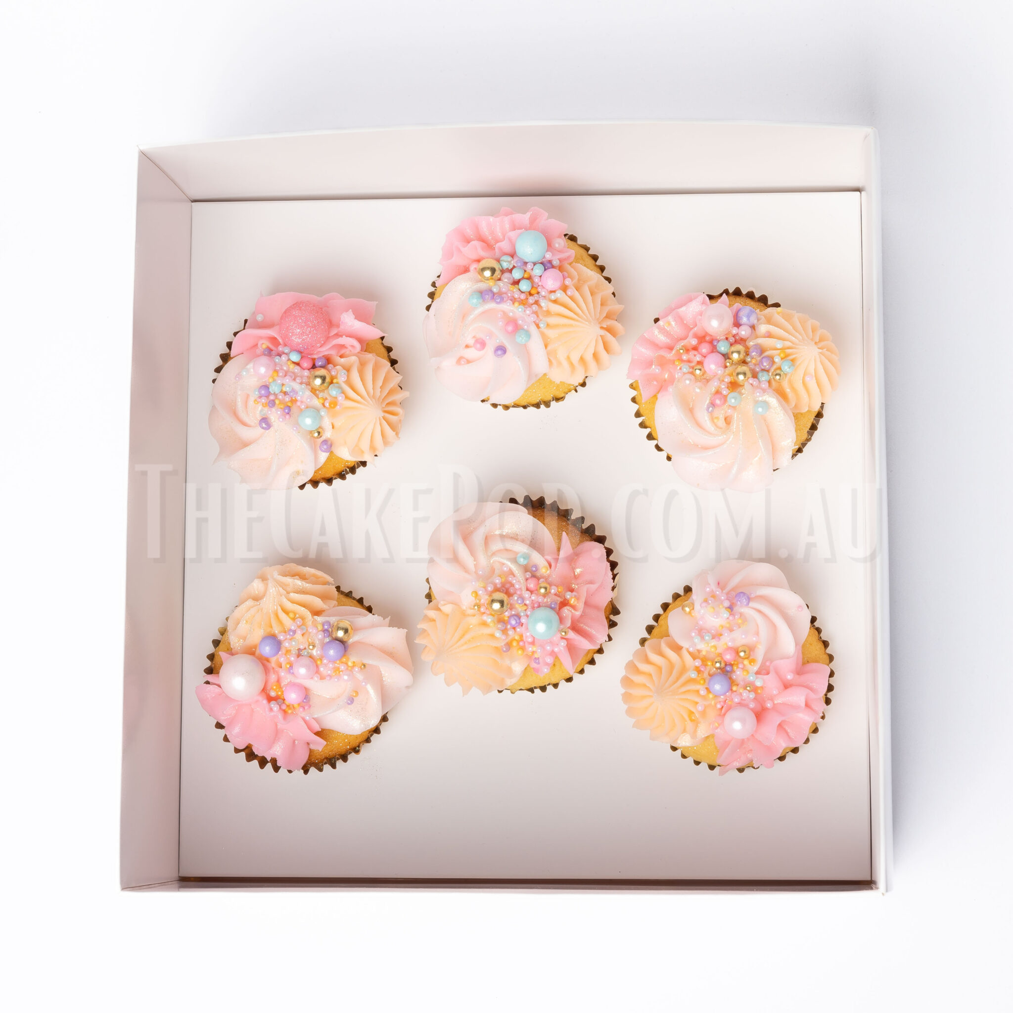 Bento box insert for 6 standard size cupcakes wholesale