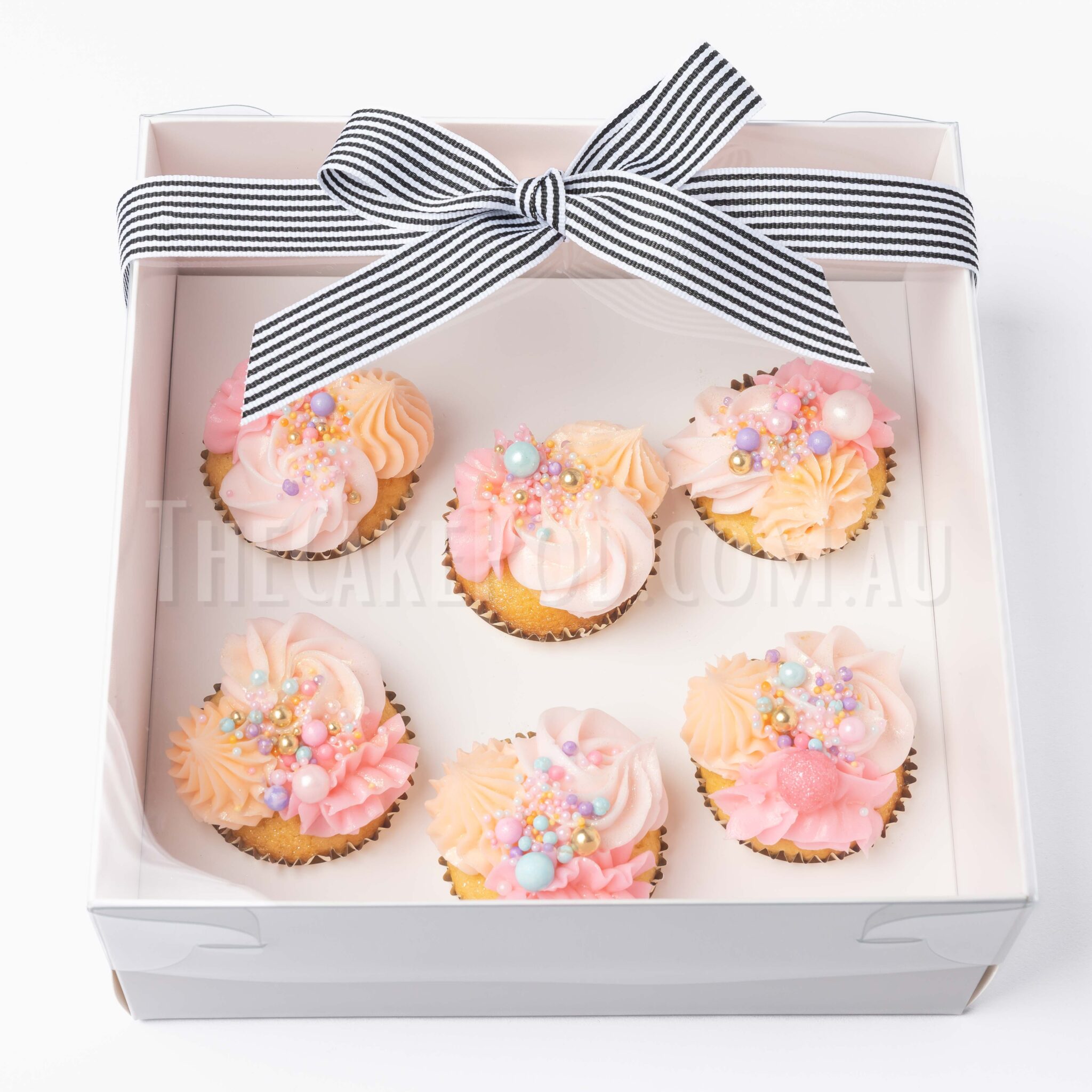 Bento box insert for 6 standard size cupcakes wholesale